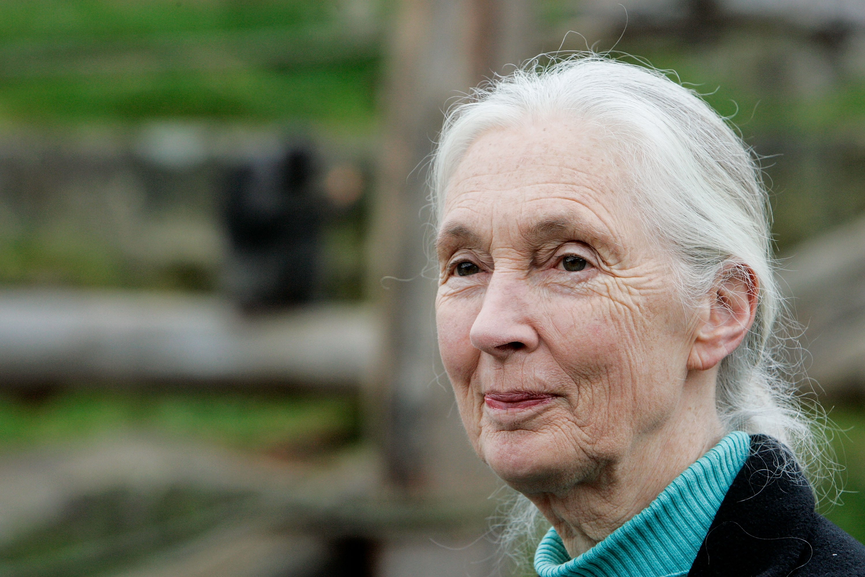 Scientist Jane Goodall on Her Spirit and Faith. | Fresh Air Archive ...